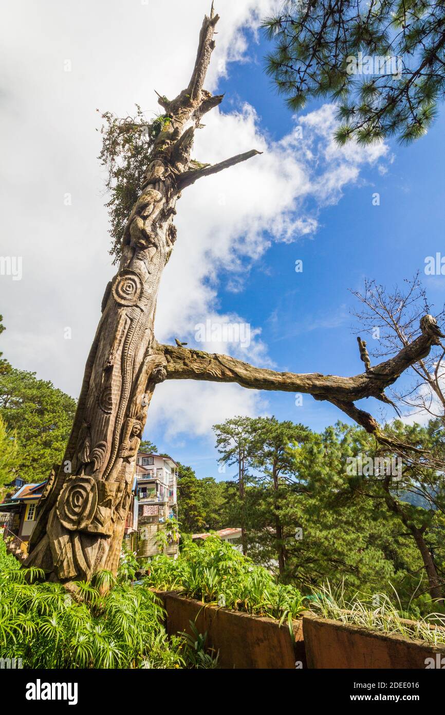 Tree art in Baguio City, Philippines Stock Photo - Alamy