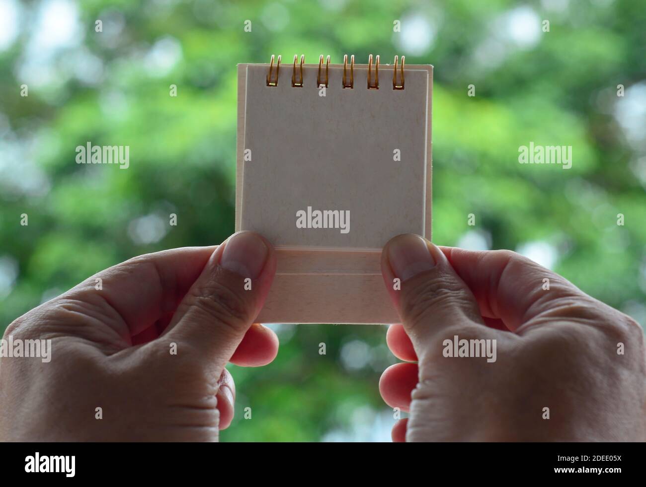 Hands Holding A White Notepad With Blurred Green Background. White ...