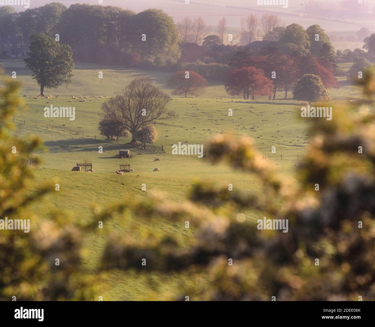Oxcombe farm hi-res stock photography and images - Alamy