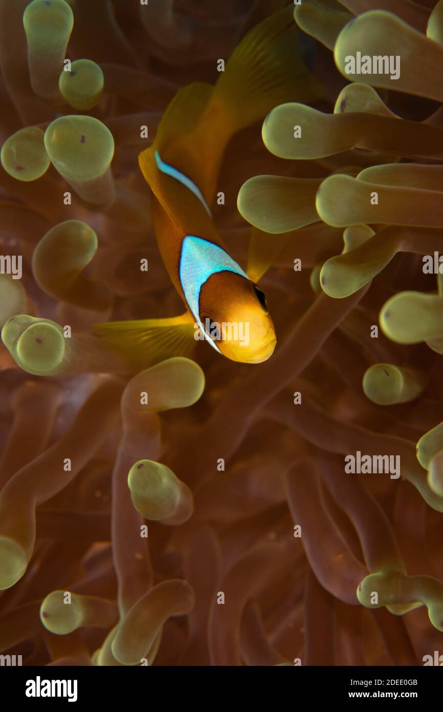 Nemo City - a selection of images that were taken on a trip to the Red ...