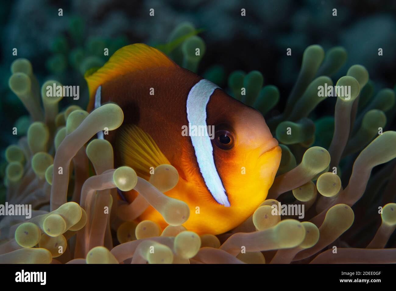 Nemo City - a selection of images that were taken on a trip to the Red ...