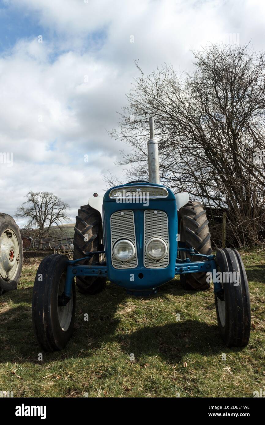 Super dexta hi-res stock photography and images - Alamy