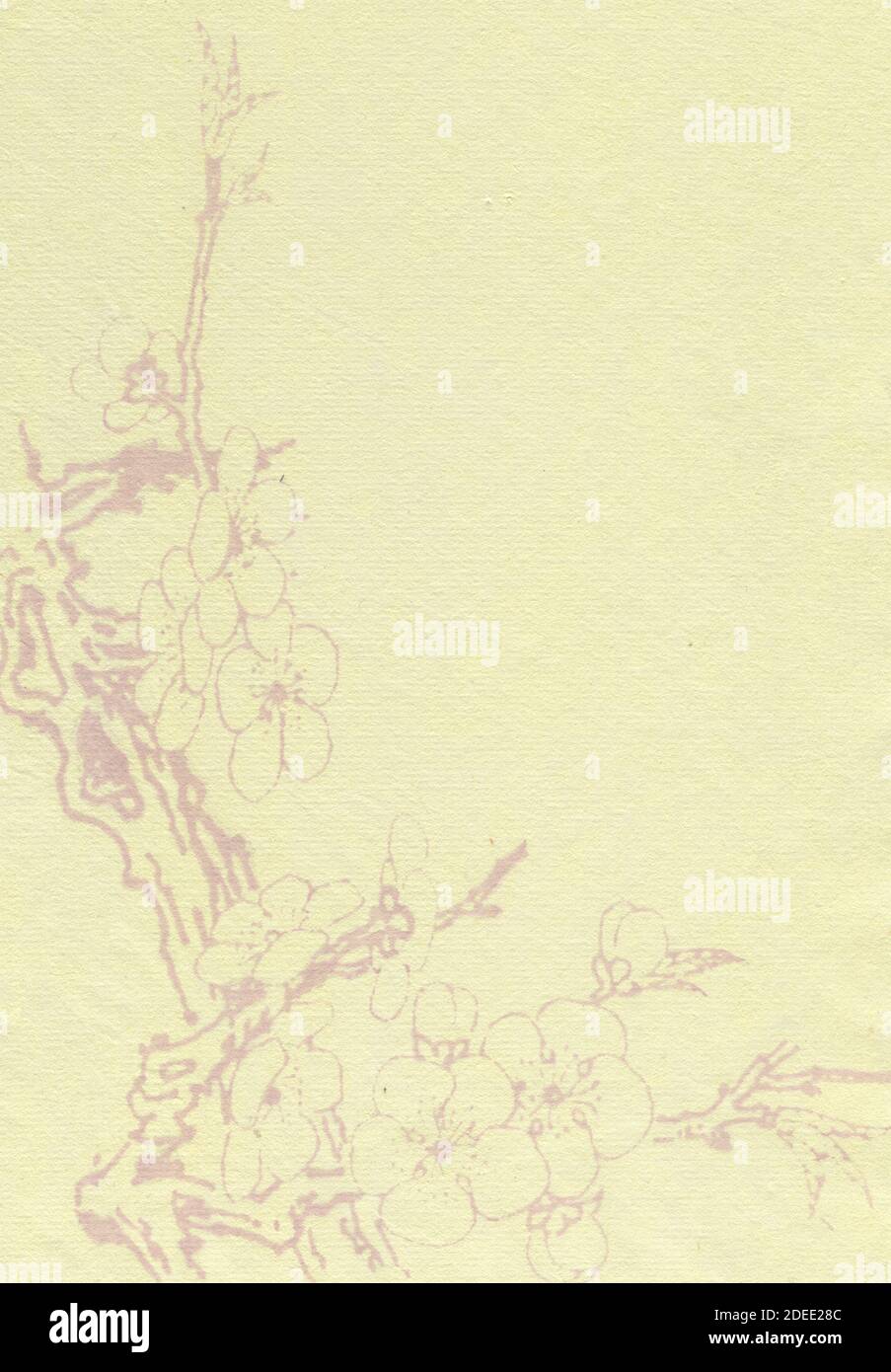 Chinese rice paper Stock Photo - Alamy