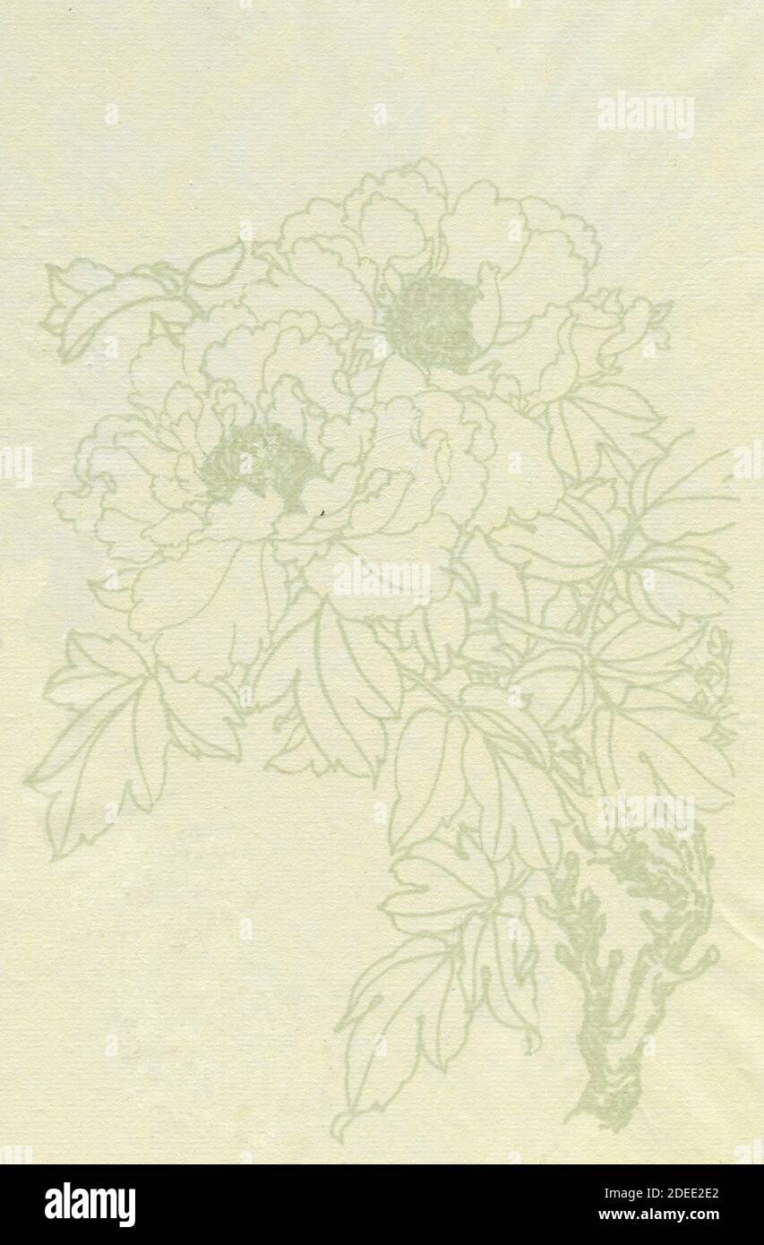 Chinese rice paper Stock Photo - Alamy