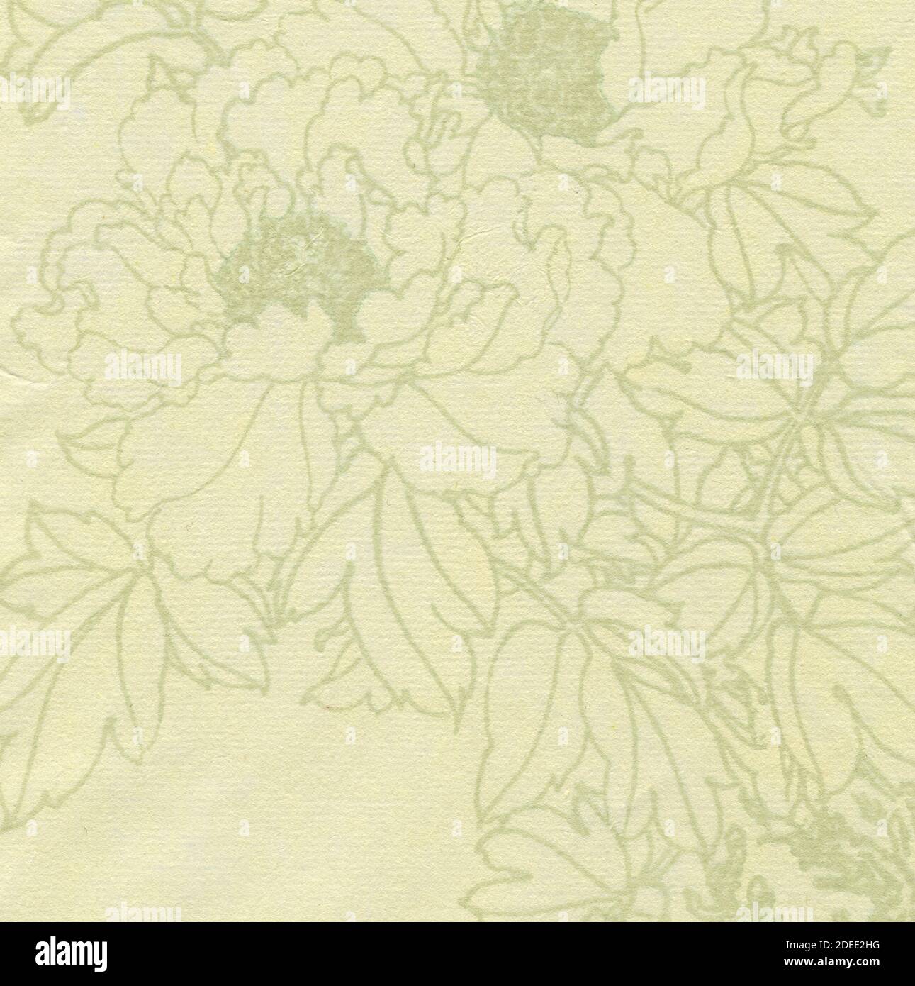 Chinese rice paper Stock Photo - Alamy