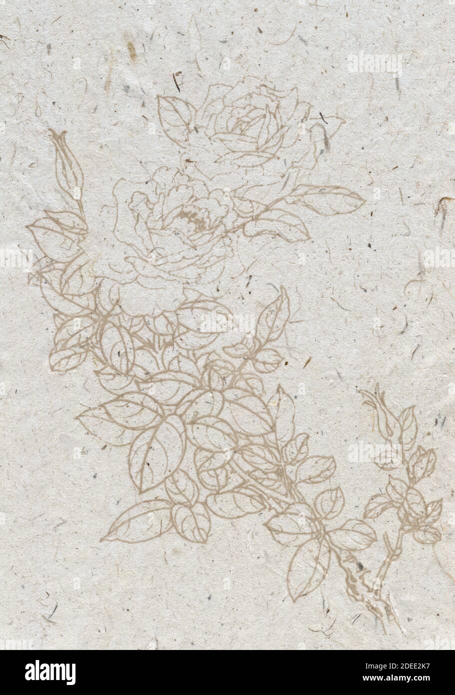 Chinese rice paper Stock Photo - Alamy