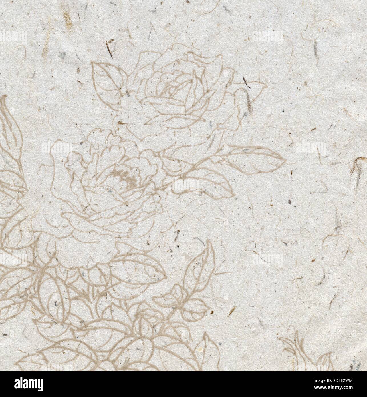 Chinese rice paper Stock Photo - Alamy