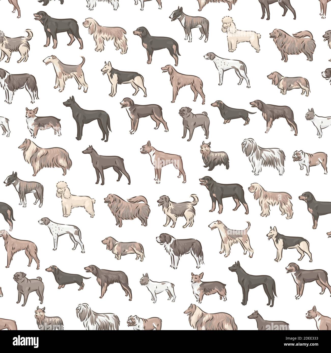 Cute dog breeds pedigree seamless pattern vector illustration set Stock ...