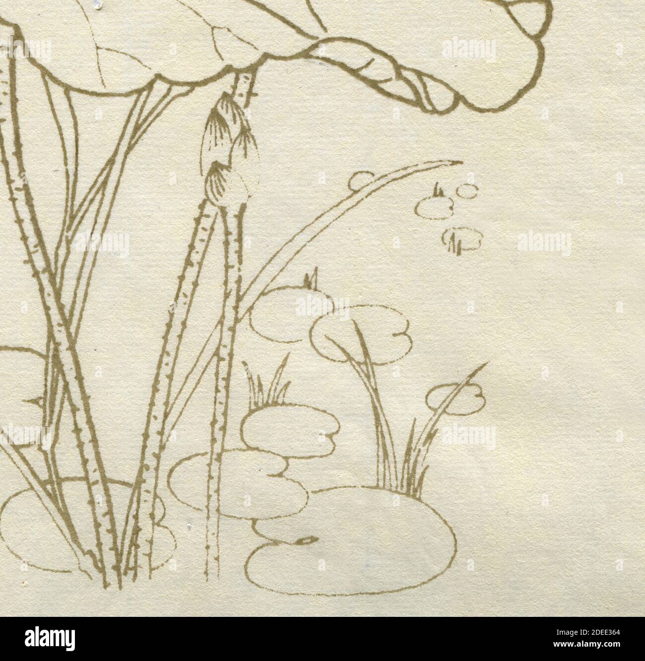 Chinese rice paper Stock Photo - Alamy