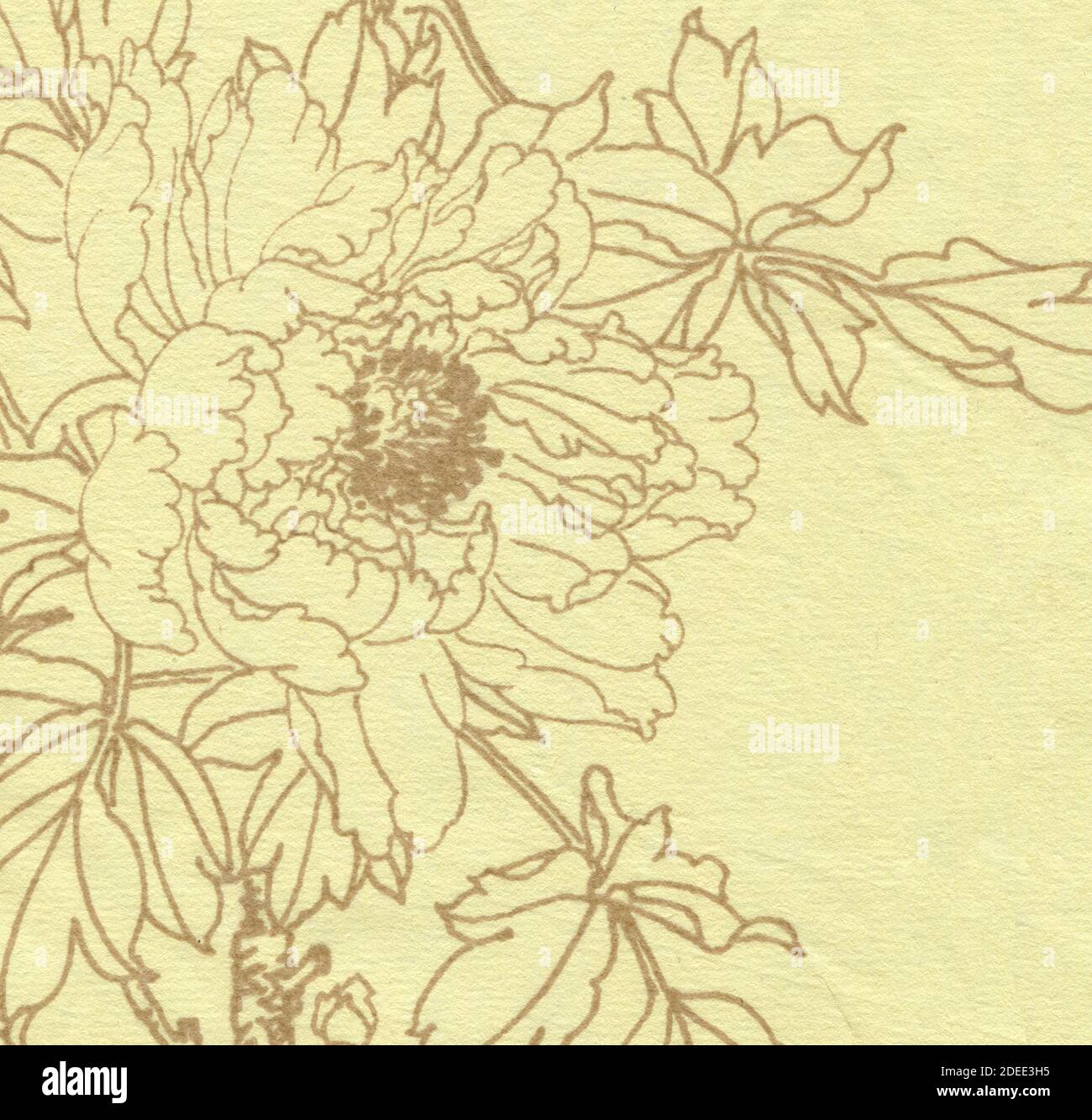 Chinese rice paper Stock Photo - Alamy