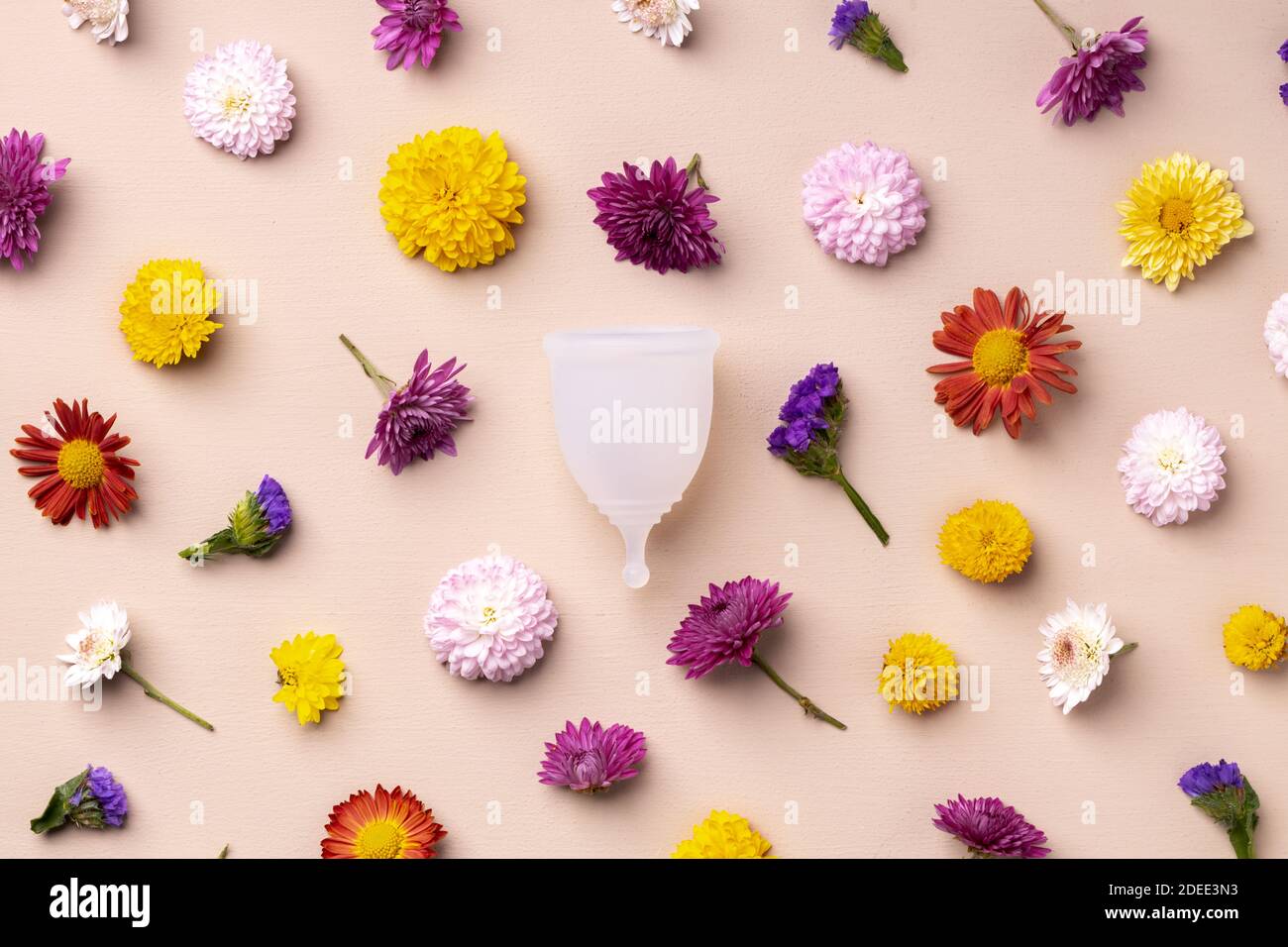 Menstrual cup on floral pattern background top view Stock Photo - Alamy