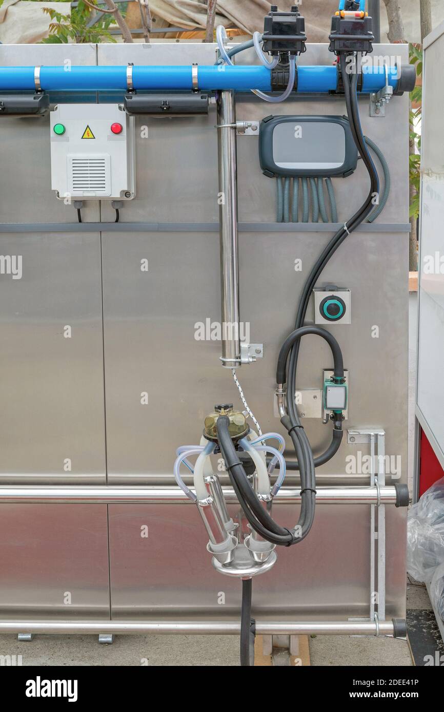 Cow Milking Suction Machine at Modern Dairy Farm Stock Photo - Alamy