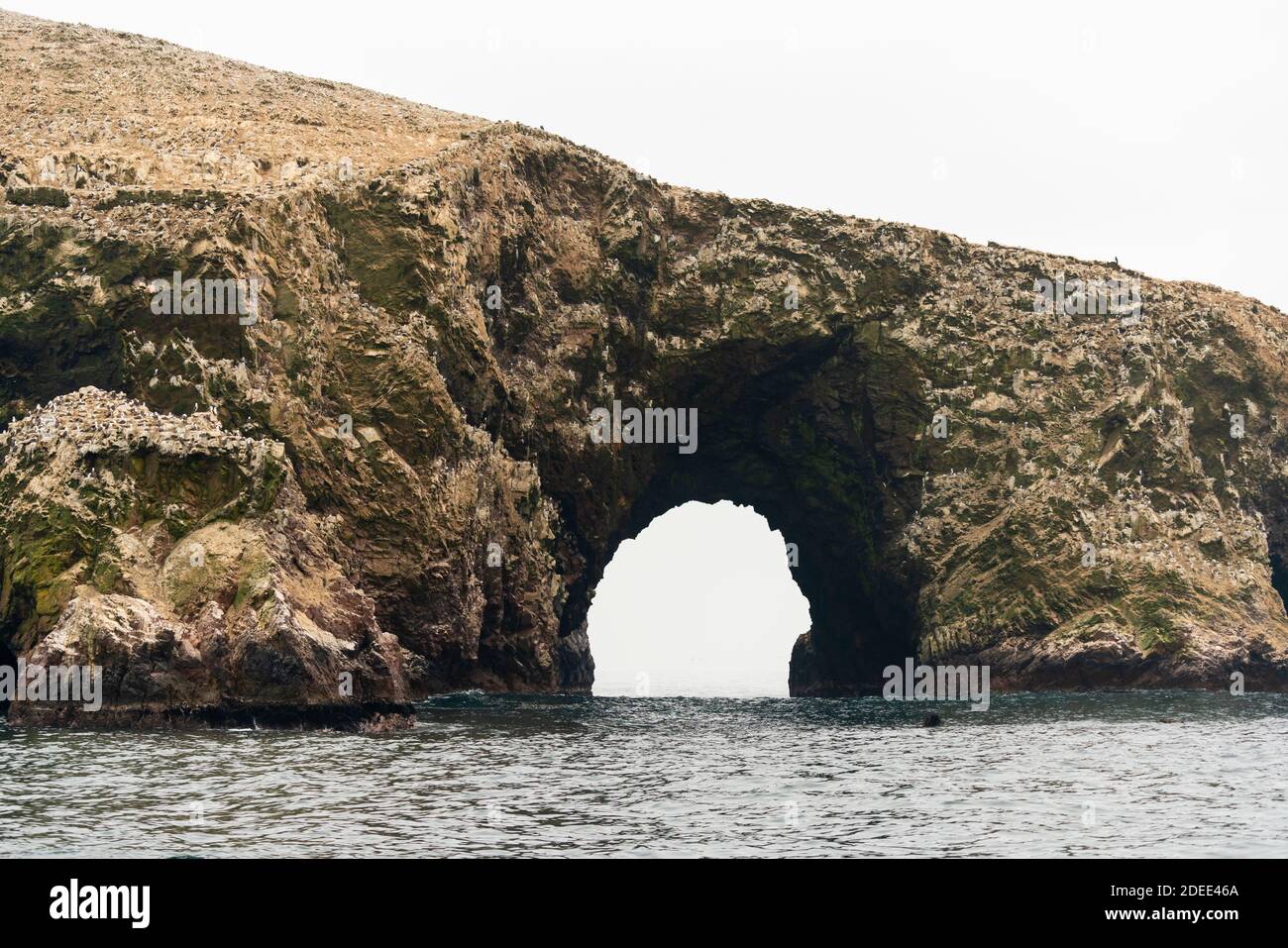 Natural arch, Ballestas Islands, Paracas, Peru Stock Photo - Alamy