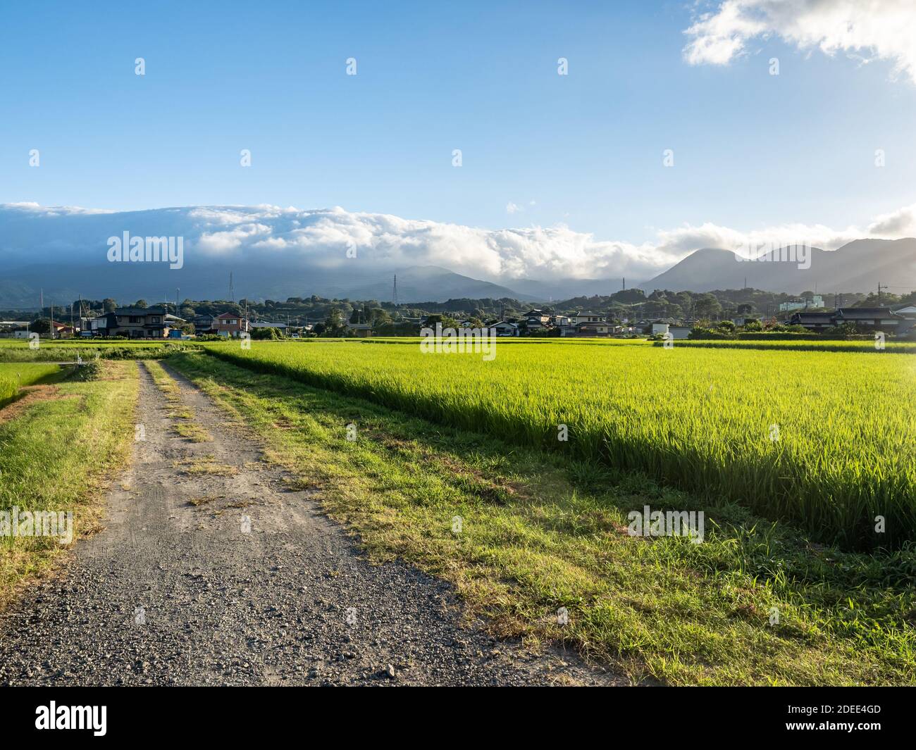 A beautiful farmland in Matsuda, Kanagawa, Japan Stock Photo - Alamy