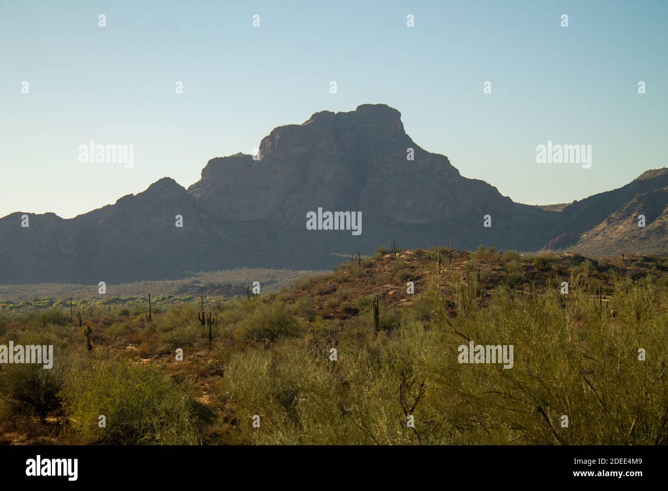Mount McDowell (Red Mountain) near Phoenix Arizona. Shot from Coon ...