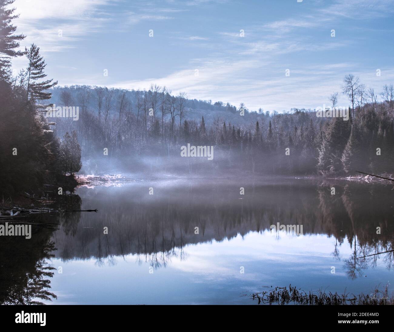 Foret blanche hi-res stock photography and images - Alamy