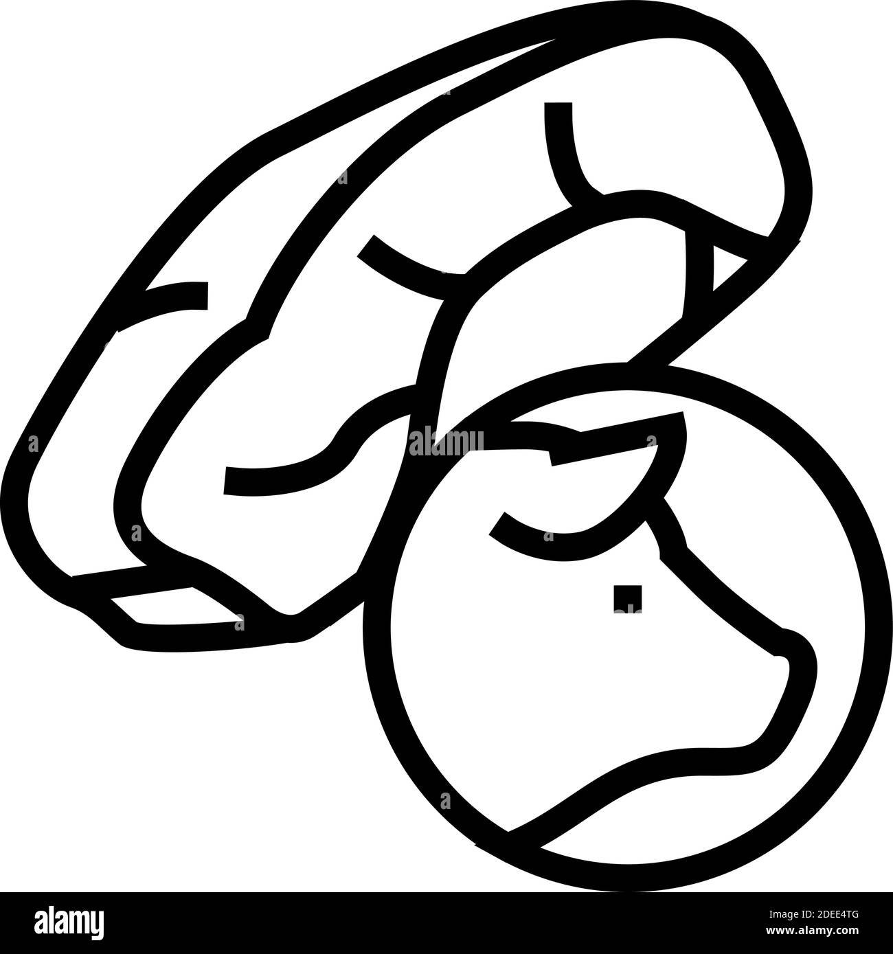 pork meat line icon vector illustration Stock Vector Image & Art - Alamy