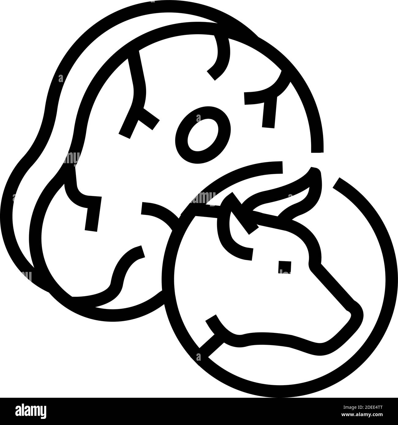 Beef Icon Vector