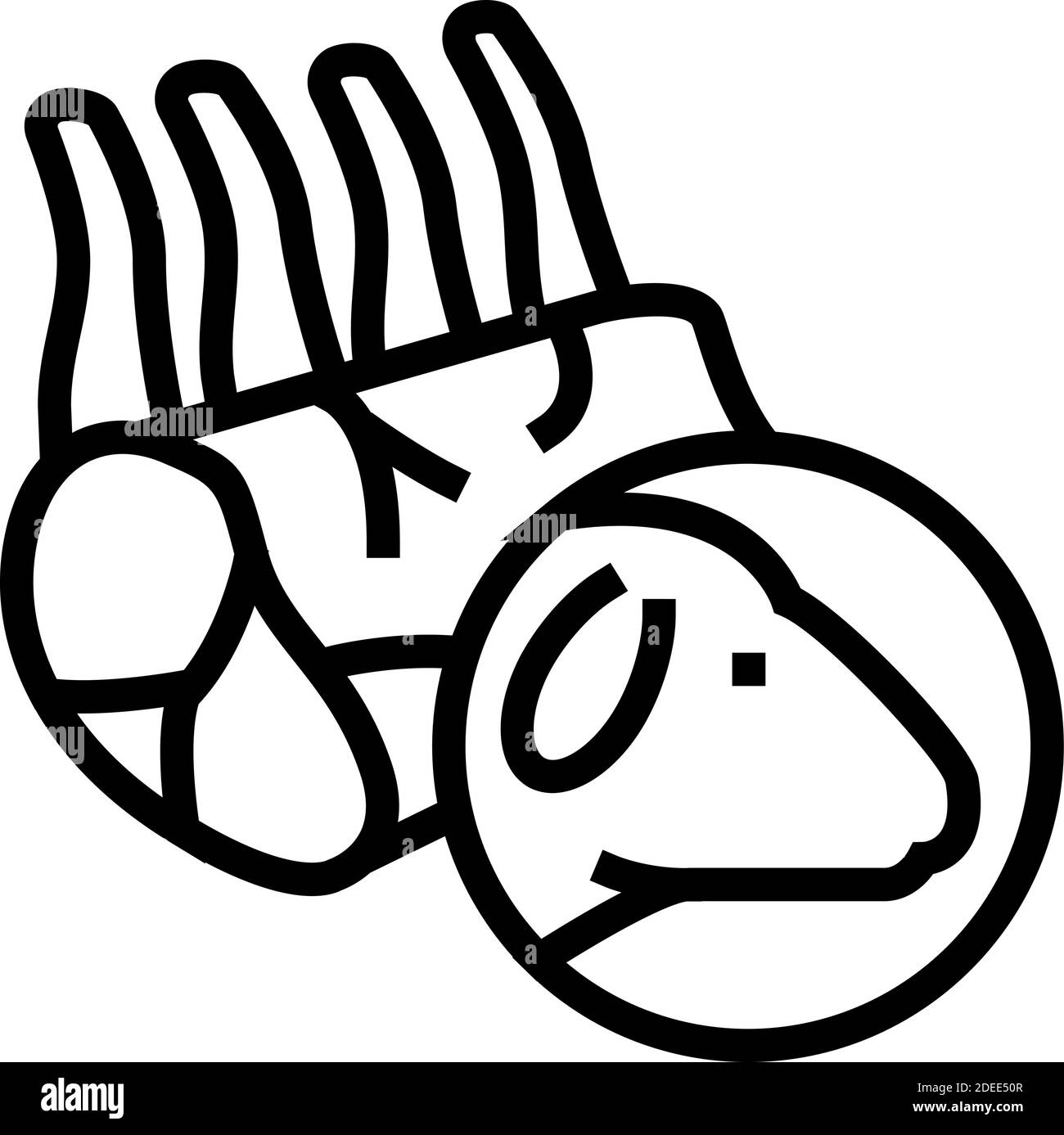 mutton meat line icon vector illustration Stock Vector Image & Art - Alamy