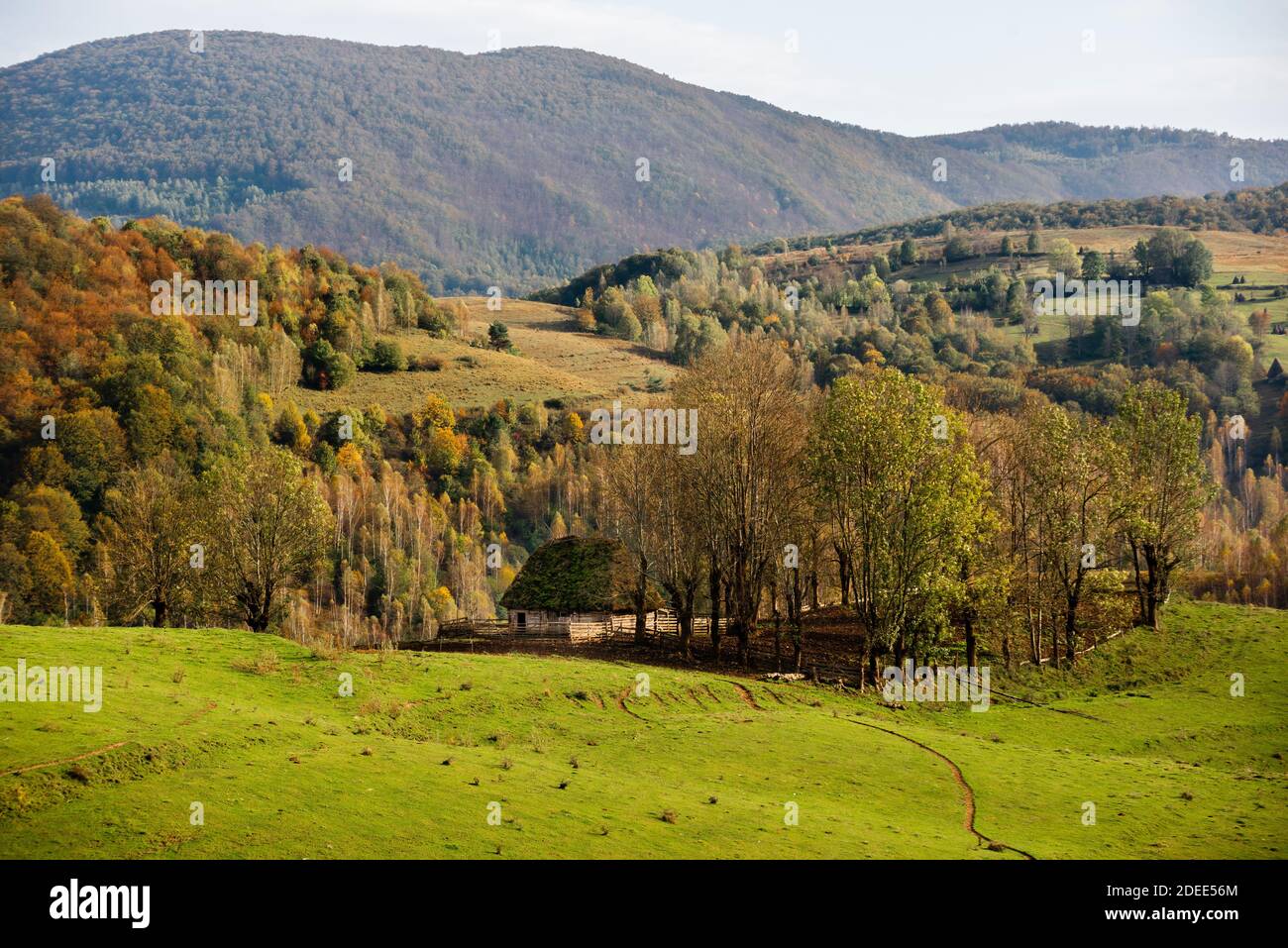 A beautiful view of a landscape with the Apuseni mountains and greenery ...
