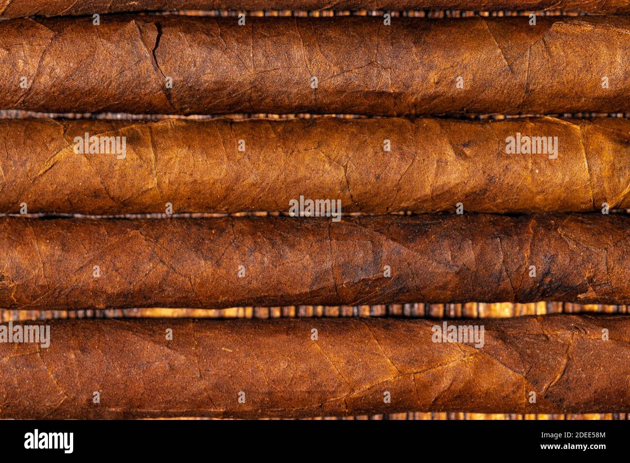 Rolled cigars in row hi-res stock photography and images - Alamy