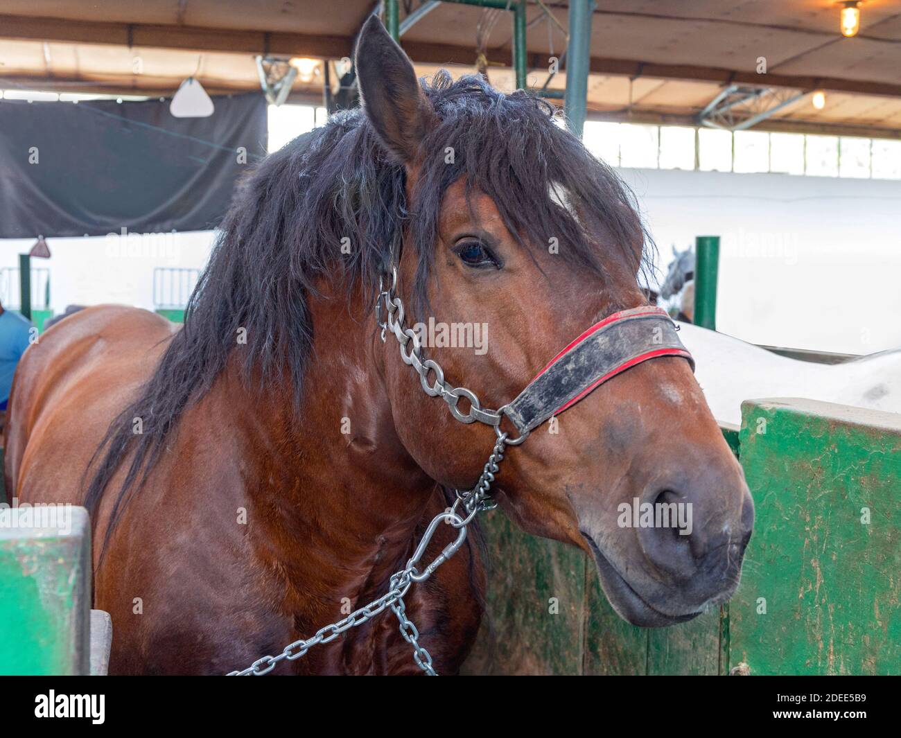Big stables hi-res stock photography and images - Alamy
