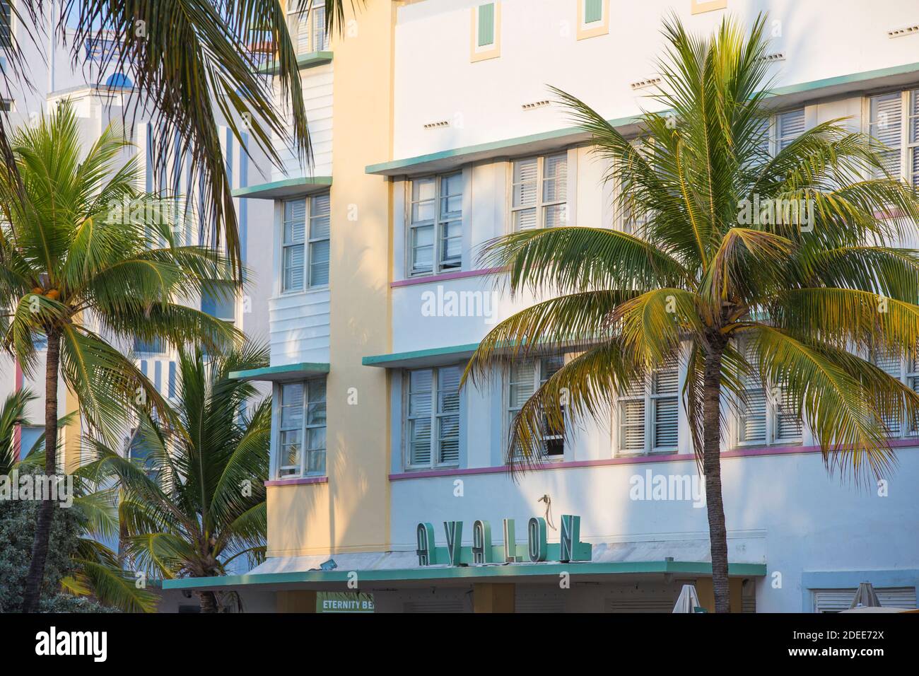U.S.A, Miami, Ocean Drive, Avalon Hotel Stock Photo - Alamy