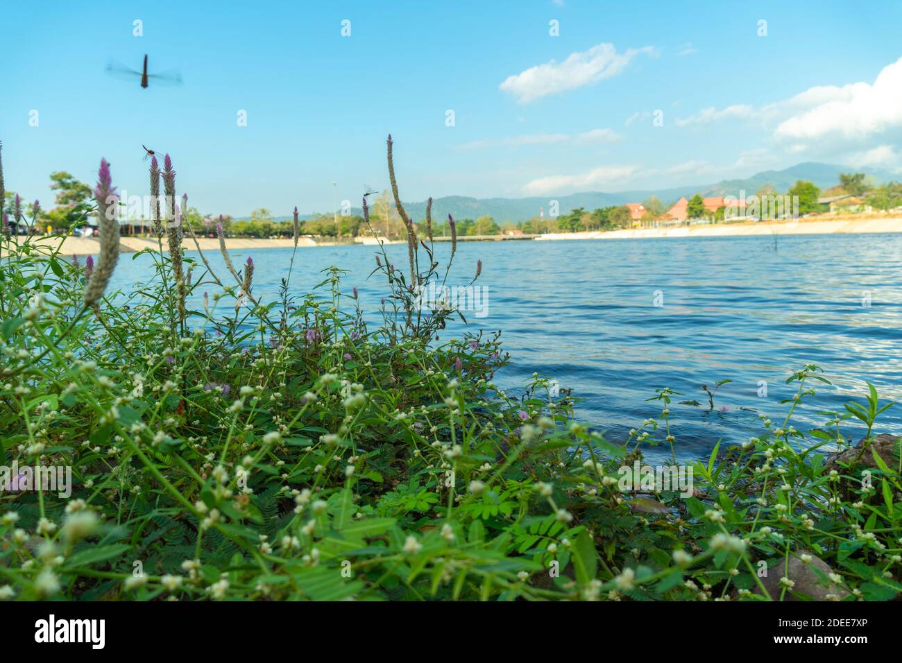 The water released from the dam is trapped in a large pool. And slowly ...