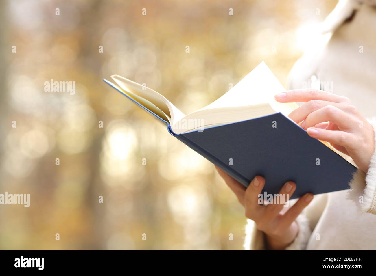 Hands holding book cover hi-res stock photography and images - Alamy