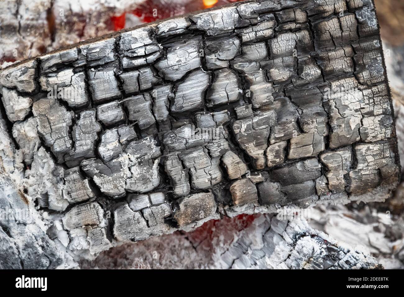 Smoldering bark texture hi-res stock photography and images - Alamy