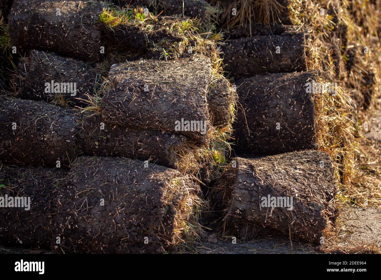 Lawn turf rolls stacked together, grass-plot in the rolls. Nature Stock ...