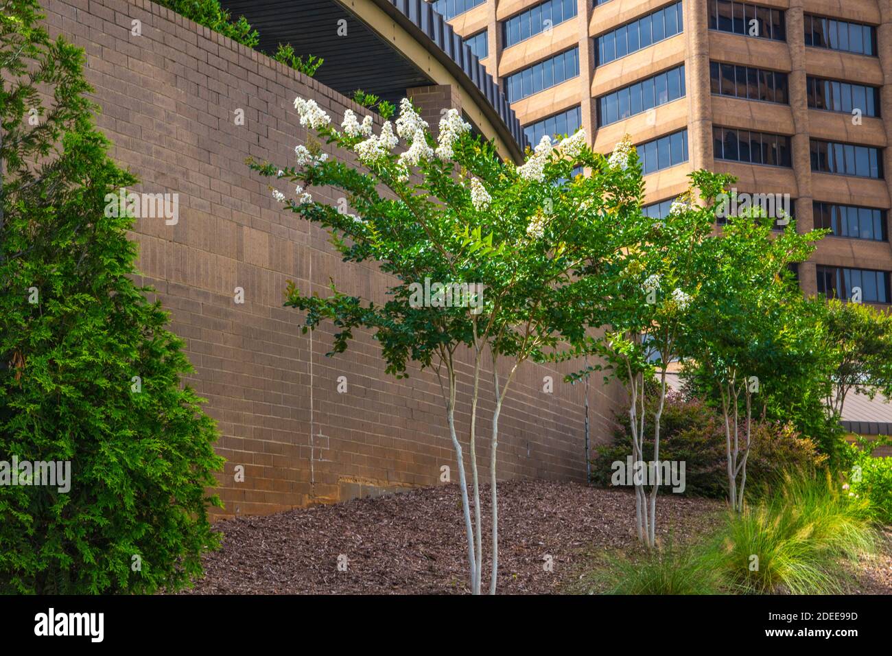 Atlanta, Ga USA 06 07 20: Downtown Atlanta George beautiful landscapes ...