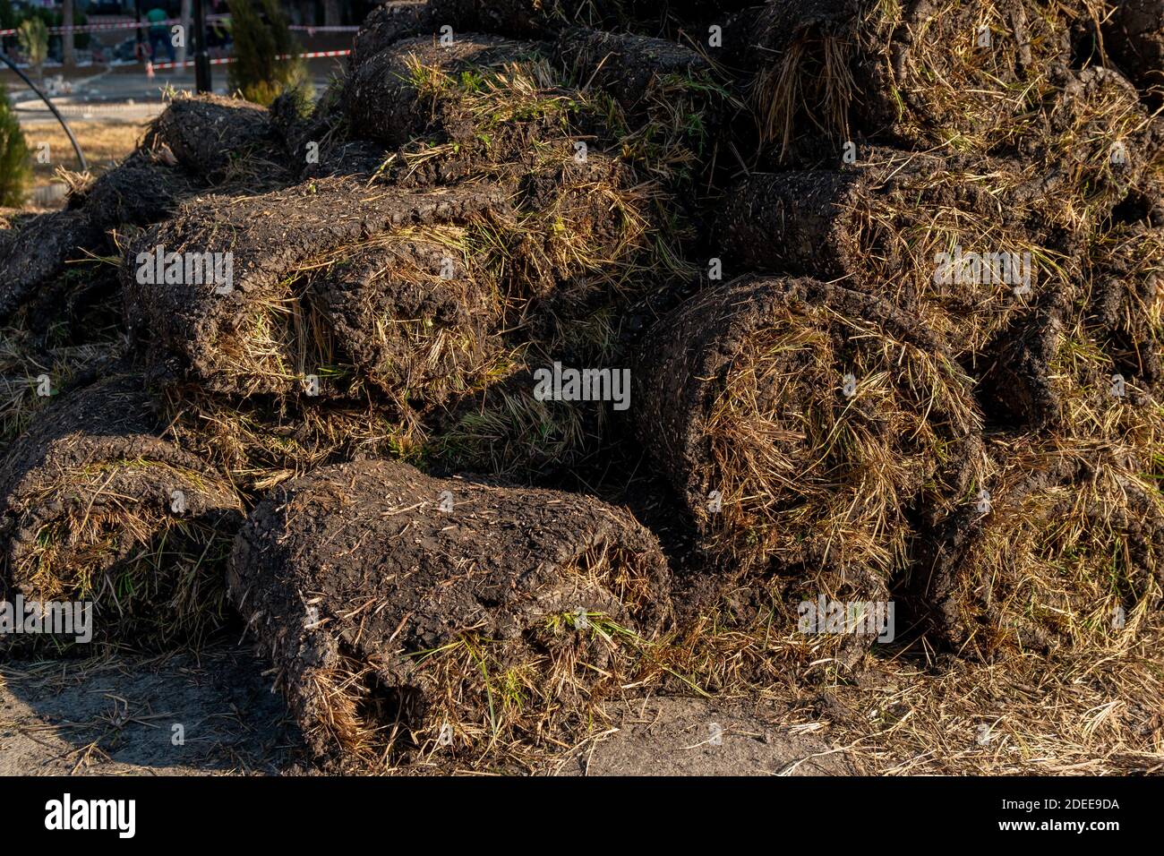 Lawn turf rolls stacked together, grass-plot in the rolls. Nature Stock ...