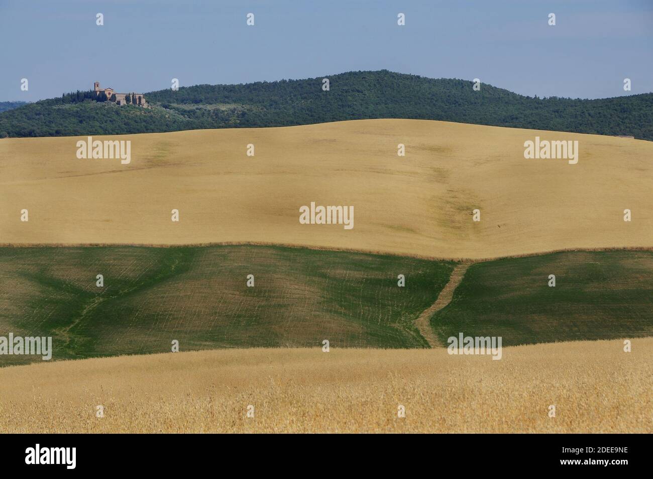 summer countryside in tuscany Stock Photo - Alamy