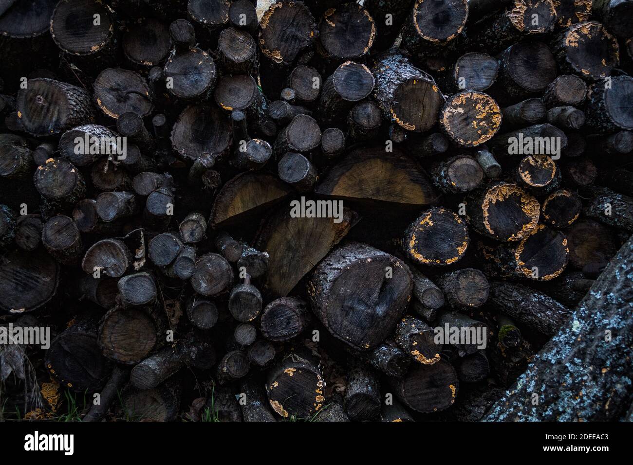 Stack of cut logs for burning Stock Photo - Alamy