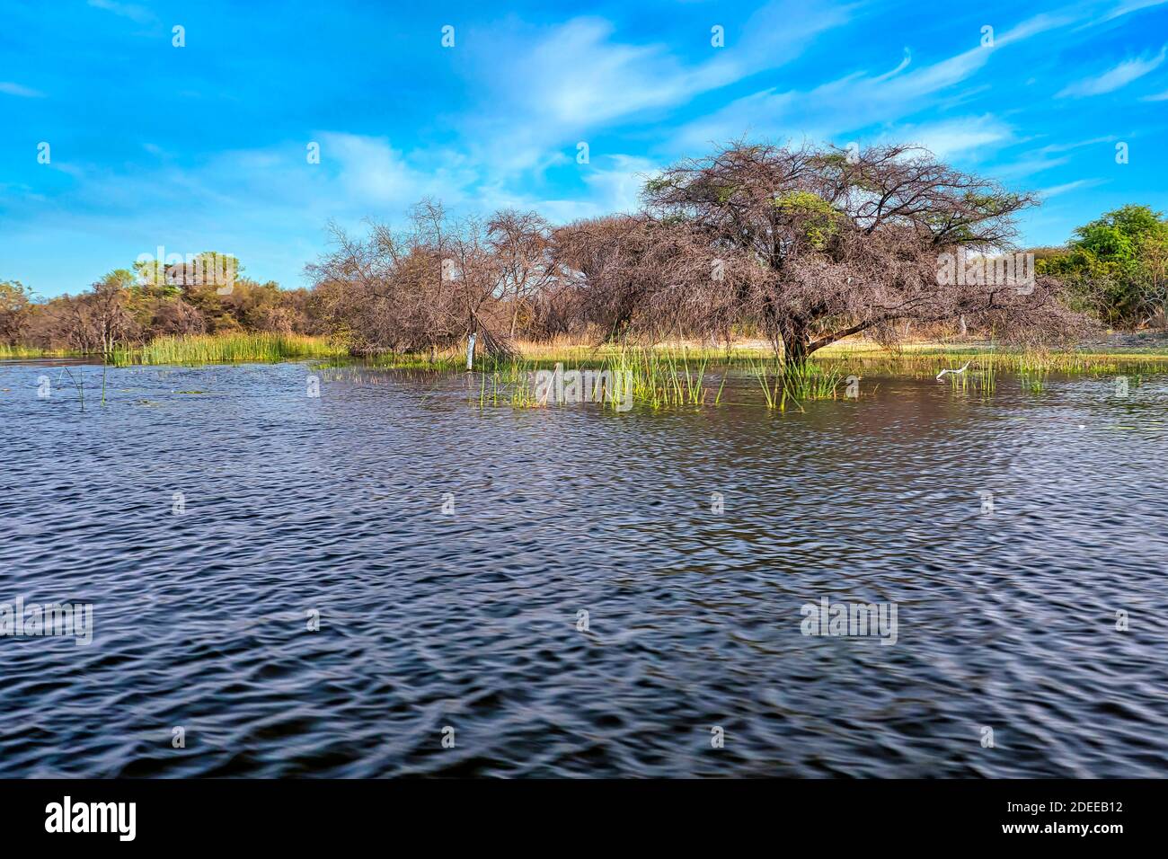 Okavango Wetlands, Okavango Delta, UNESCO World Heritage Site, Ramsar ...