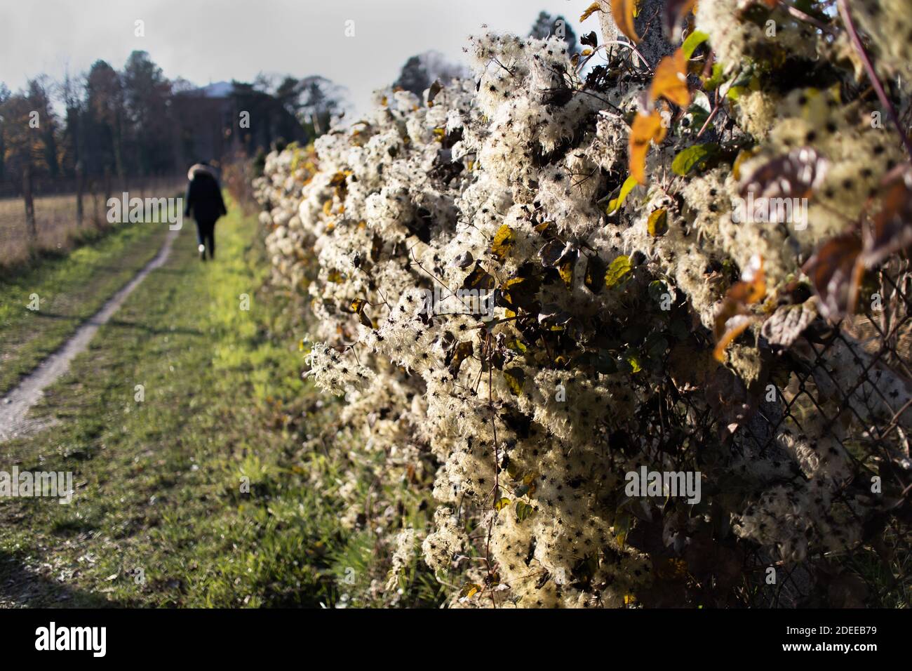 LAndscape photography with focus in front Stock Photo - Alamy