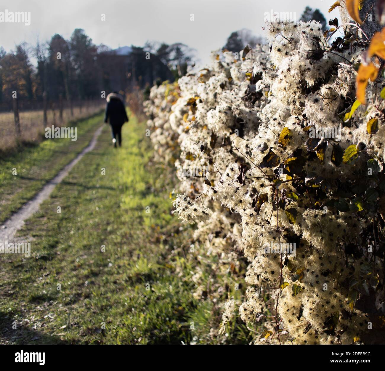 LAndscape photography with focus in front Stock Photo - Alamy