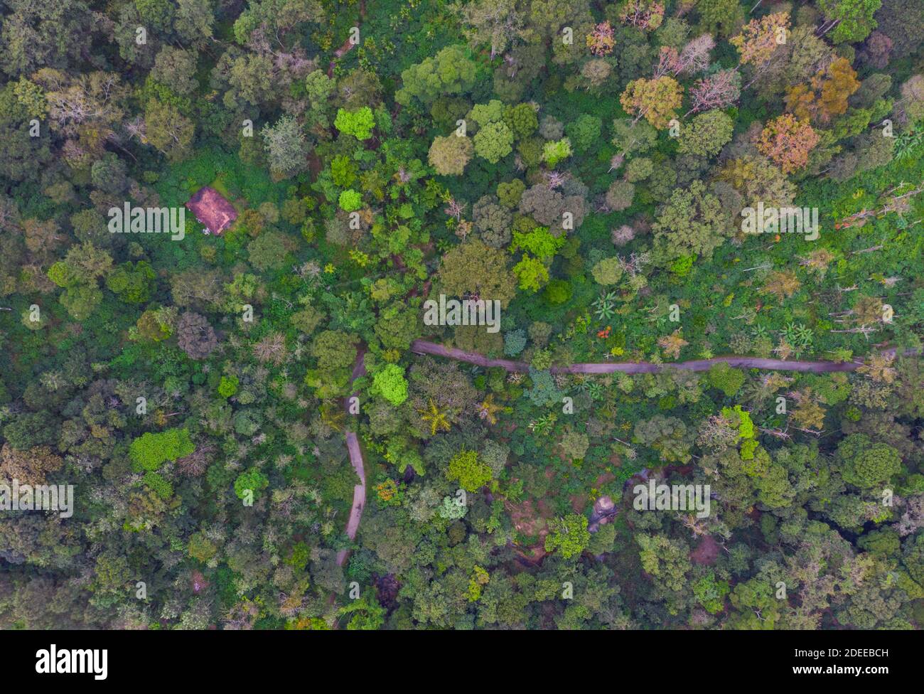 Karnataka landscape hi-res stock photography and images - Alamy
