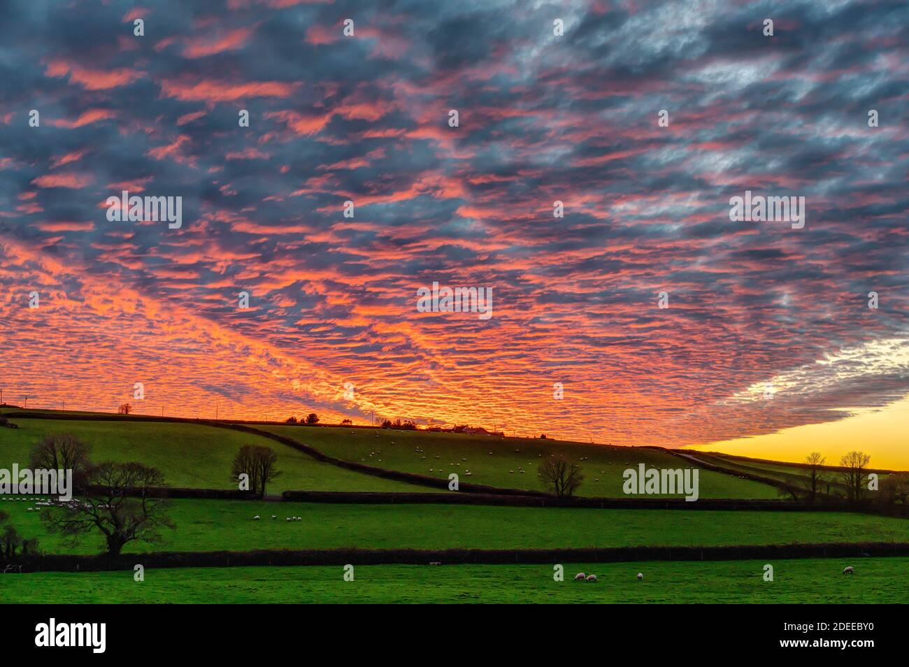 Lanteglos highway hi-res stock photography and images - Alamy