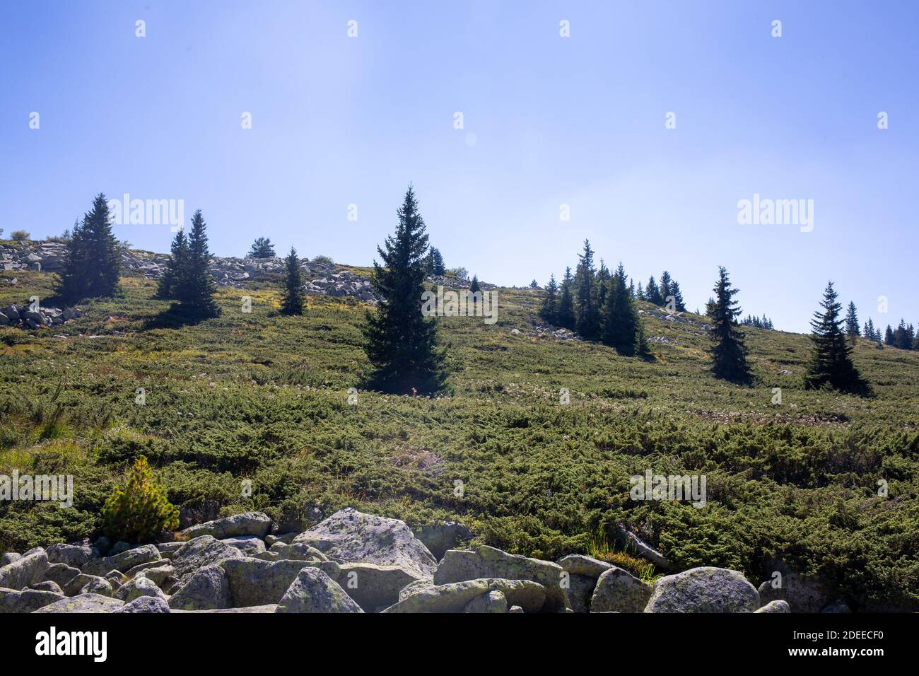 Vitosha nature park hiking hi-res stock photography and images - Alamy