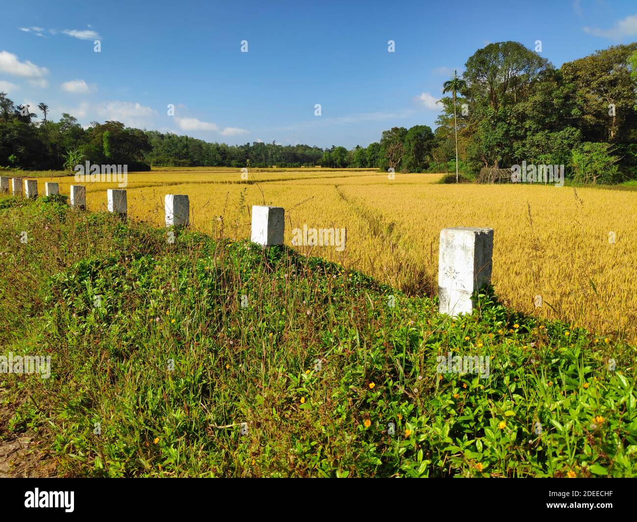 Crop markers hi-res stock photography and images - Alamy