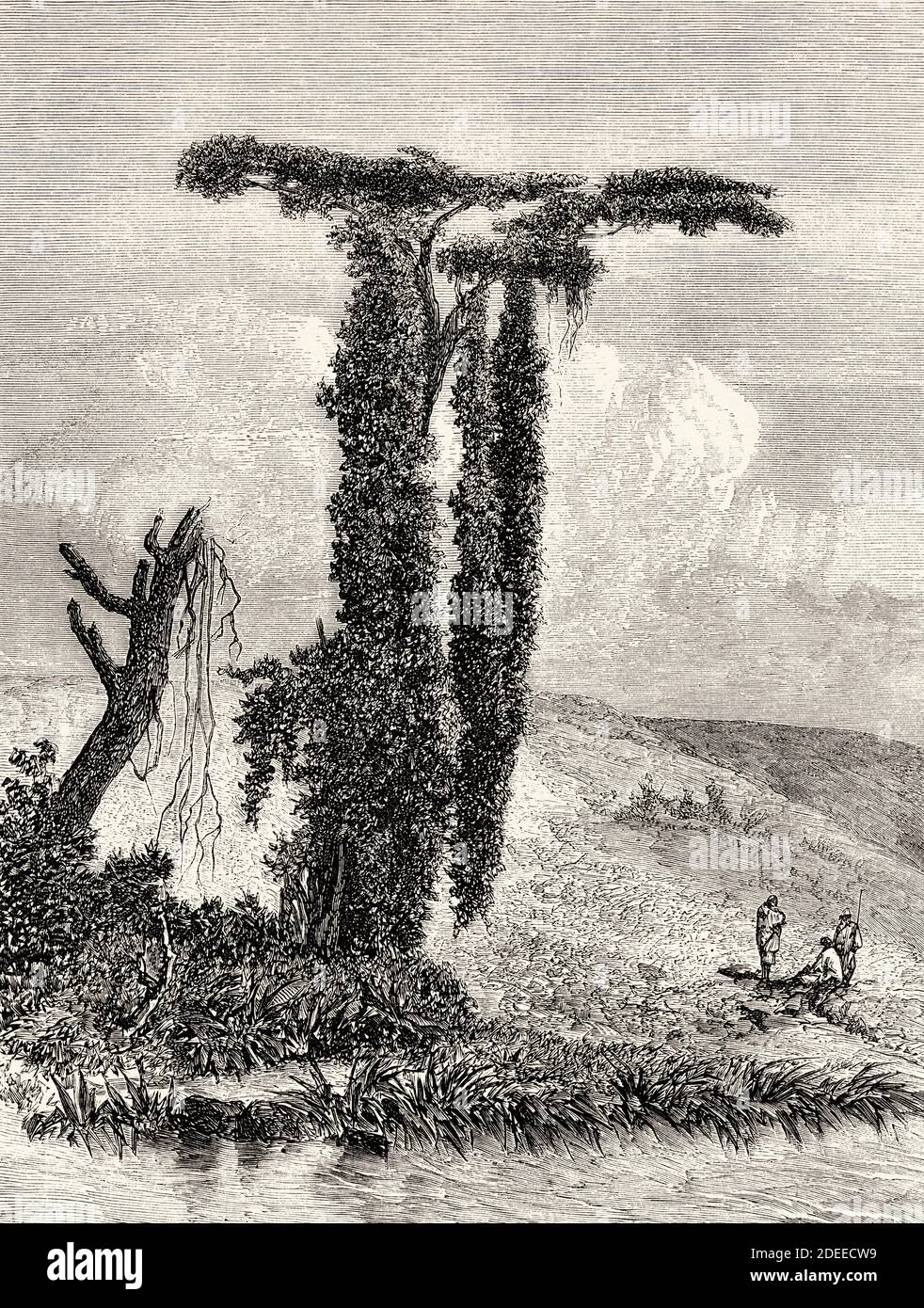 Bank of Abyssinia - Head Office, Addis Ababa