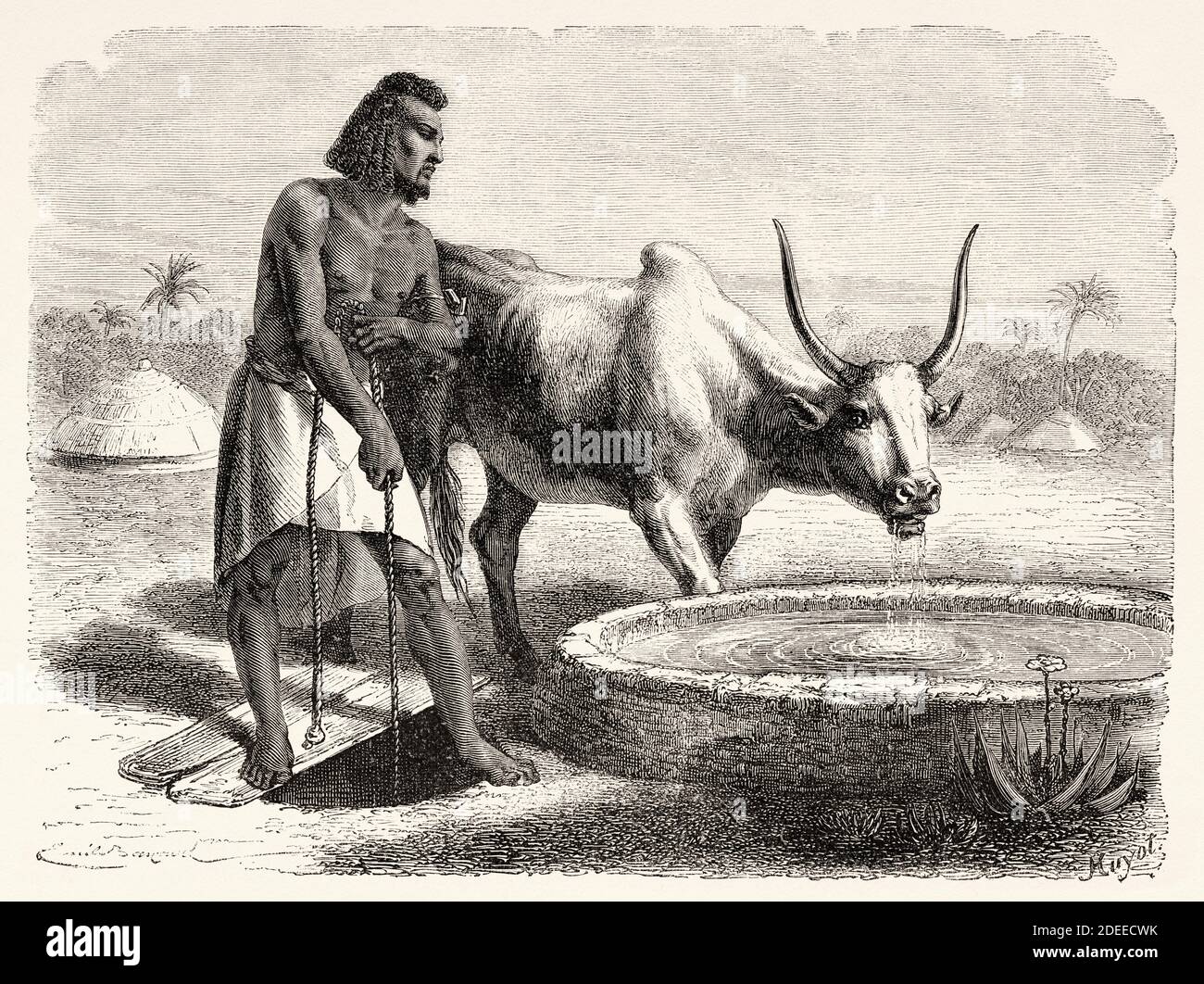 Abyssinian drinking trough, Ethiopia. Old 19th century engraved ...