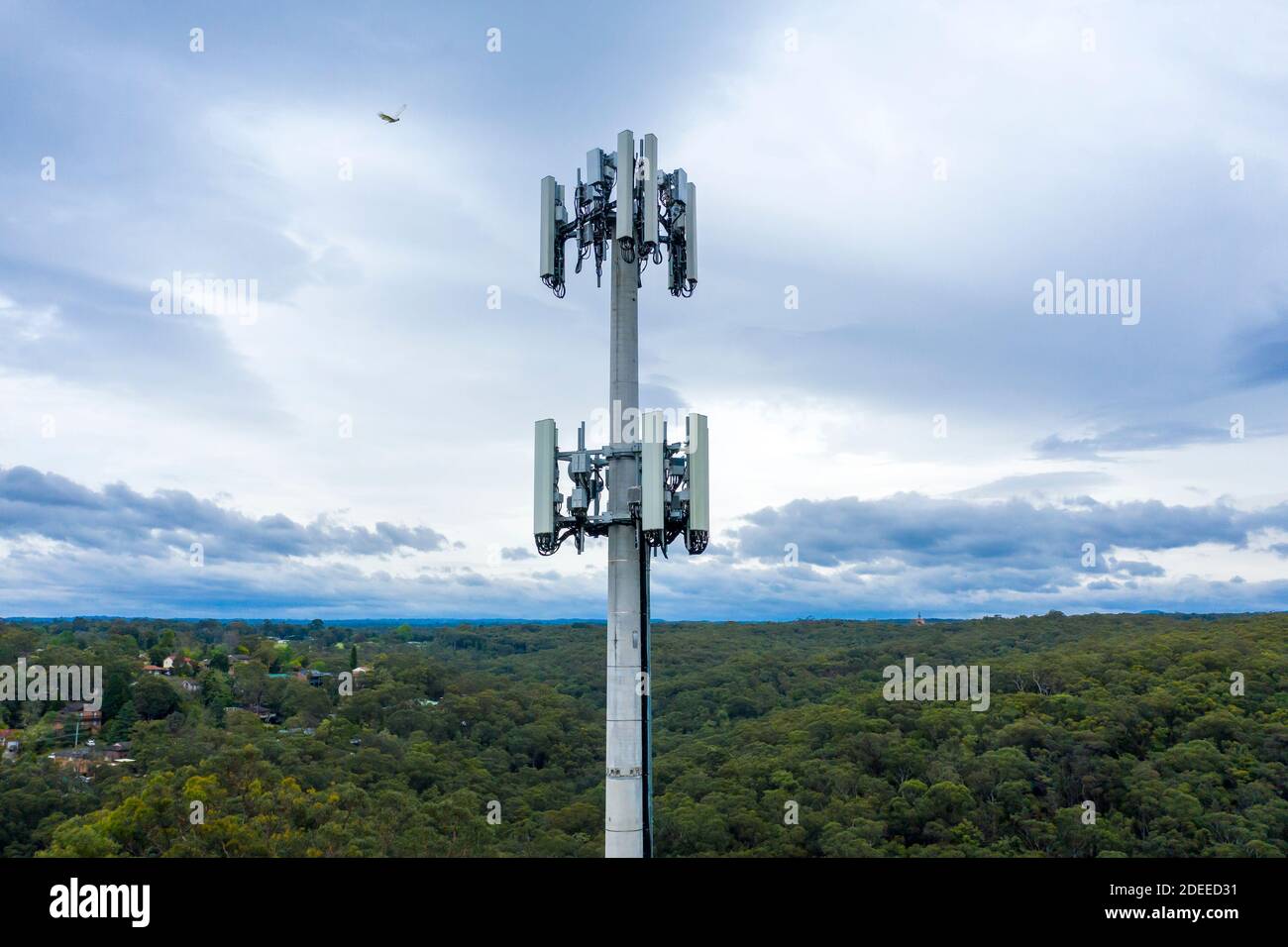 Aerial view of a communications tower in a forest in regional Australia ...