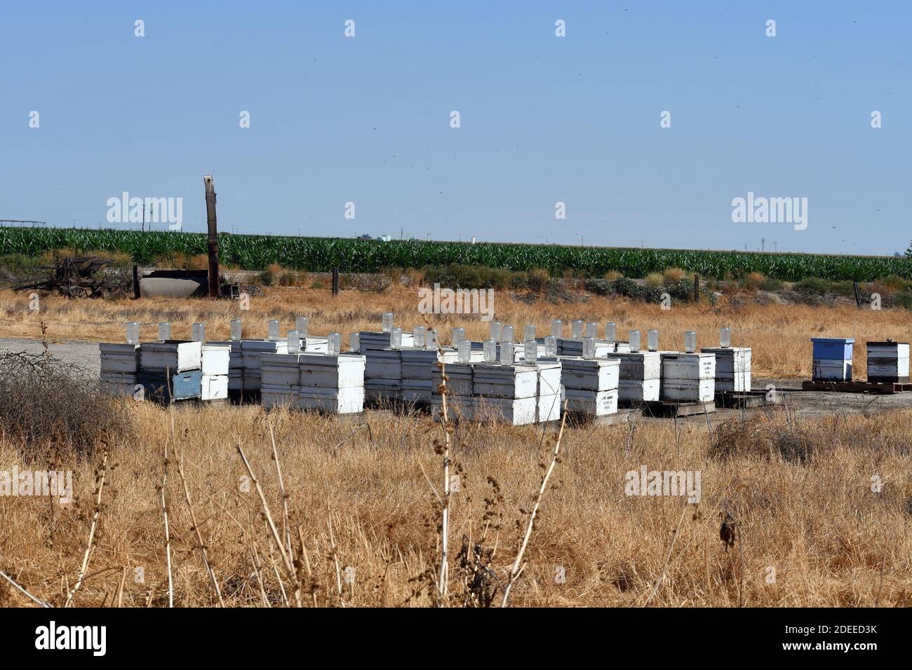 Old apiary hi-res stock photography and images - Alamy