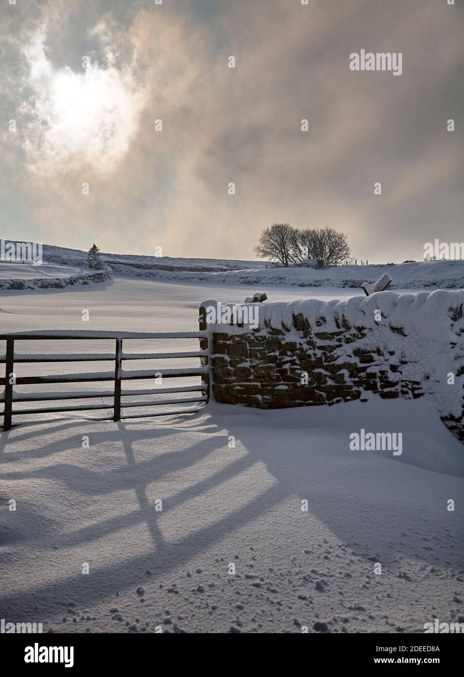 February and a heavy snowfall covers the land and entrance into pasture ...
