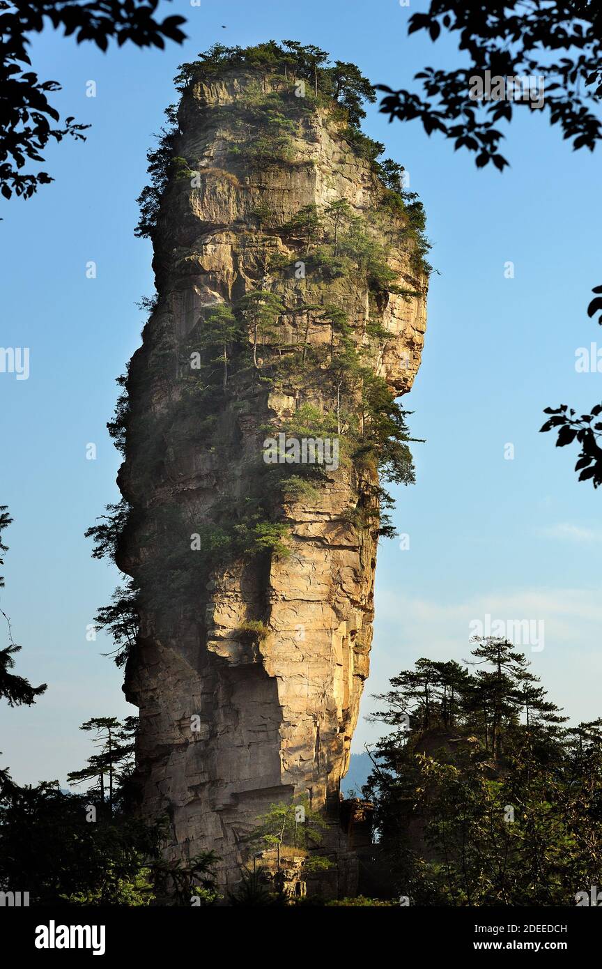 Sandstone rocks in zhangjiajie hi-res stock photography and images - Alamy