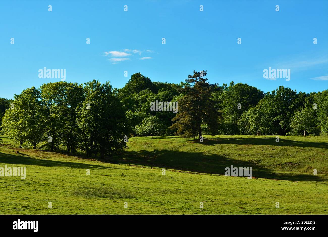 White glade hi-res stock photography and images - Alamy
