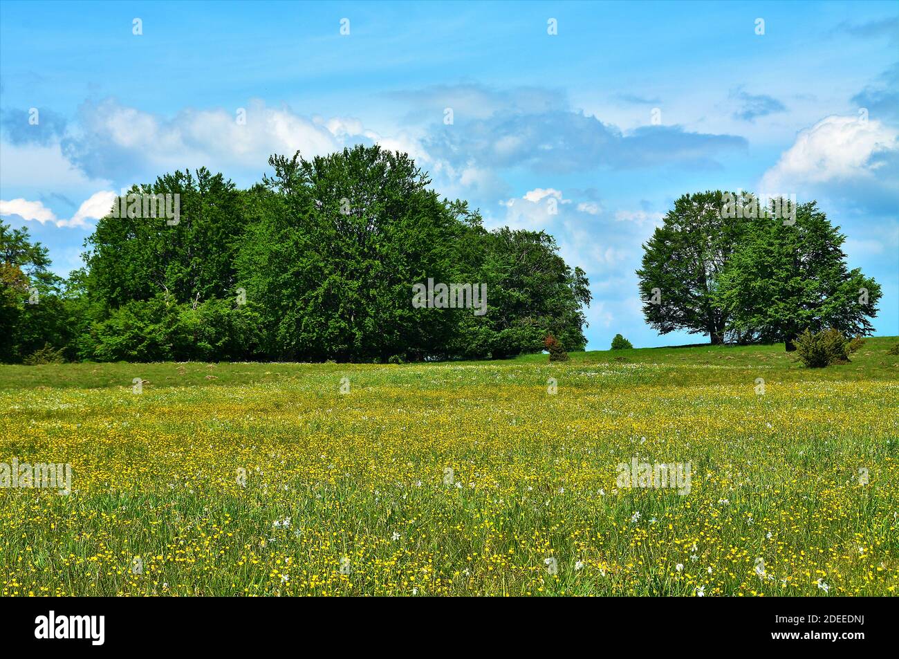 White glade hi-res stock photography and images - Alamy